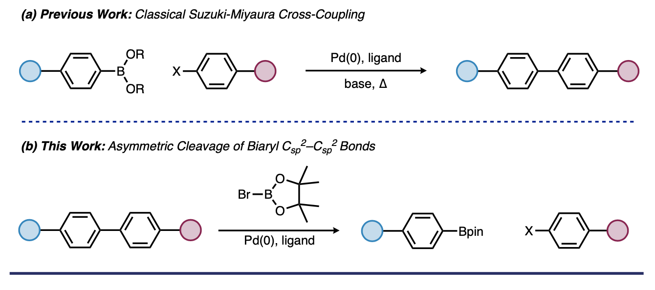 The Retro-Suzuki Reaction? A Palladium-Catalyzed Carbon-Carbon ...